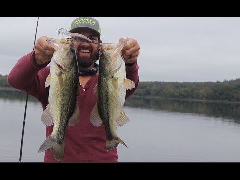 Two bass caught on one crankbait during a fishing trip