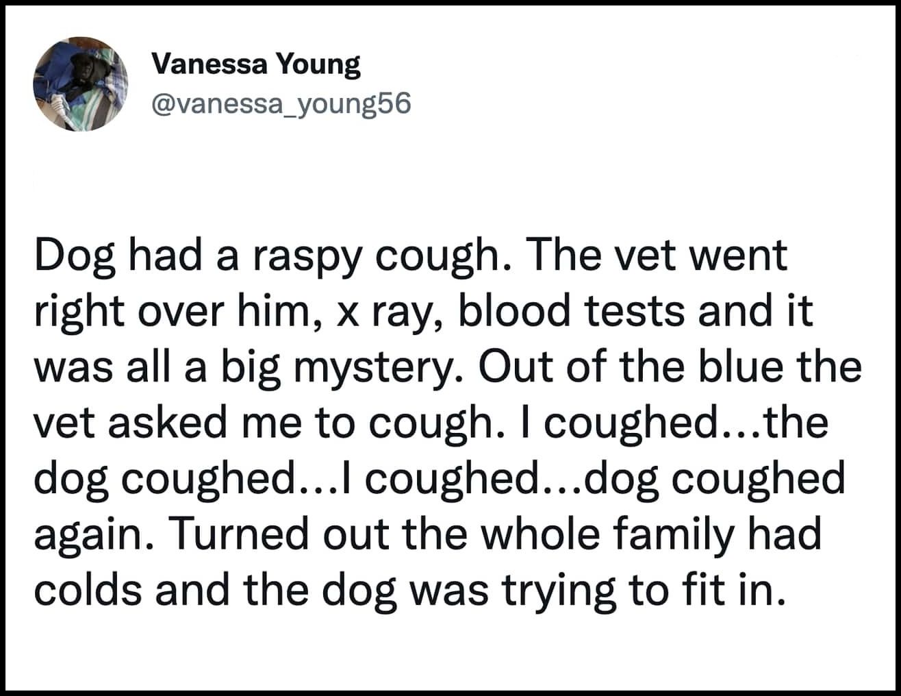 34+ pet owners share their paw-sitively hilarious vet visits
