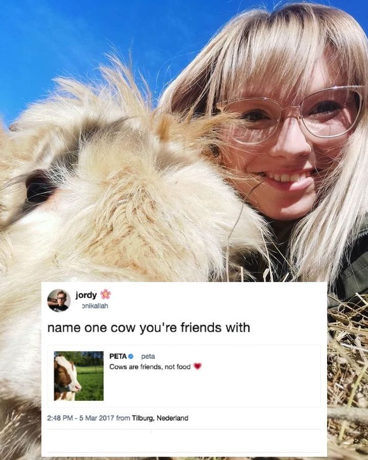 Mic-drop roasts we can't stop sharing