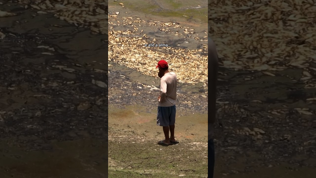 Witness the Amazon suffer through drought, fires, and extreme heat