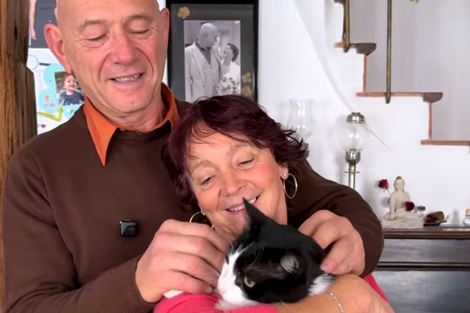 Missing cat reappears months later after mysteriously traveling nearly ...