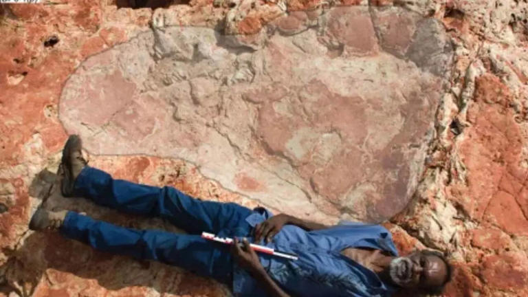 Australia uncovers the world’s largest dinosaur footprints from 130 ...