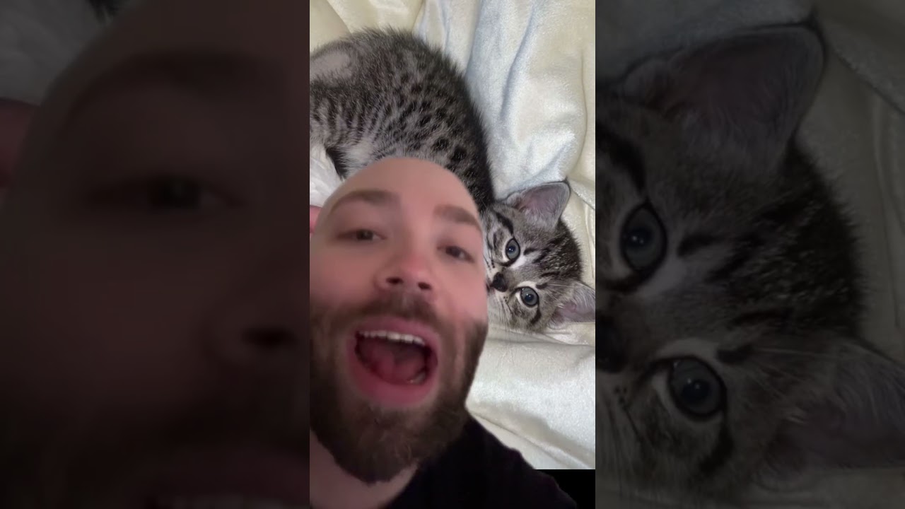 Helping a fan pick the wildest name for their cat