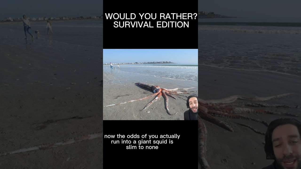 Would you survive a jellyfish or giant squid encounter?