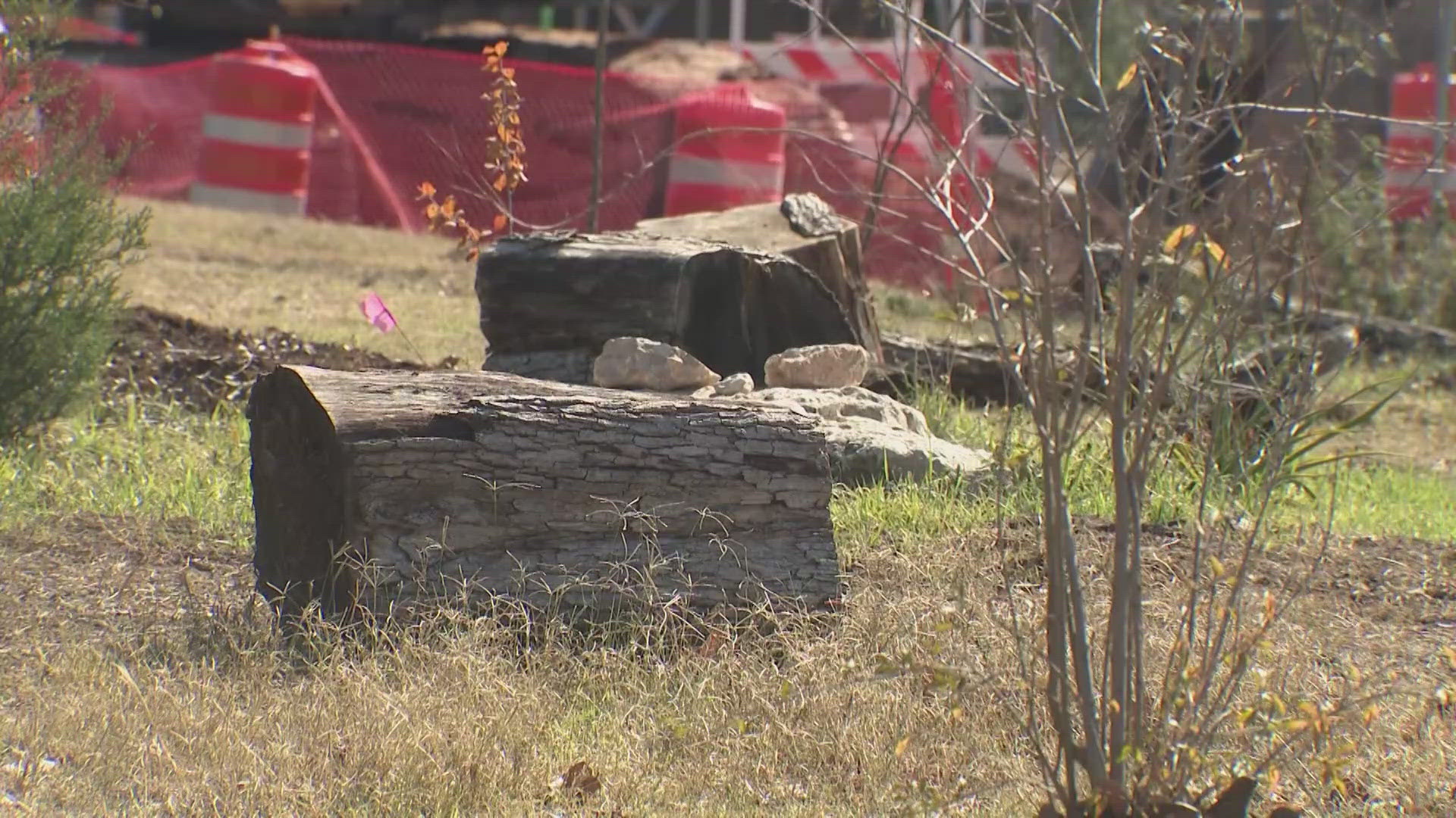 I-35 expansion project to disrupt food forest