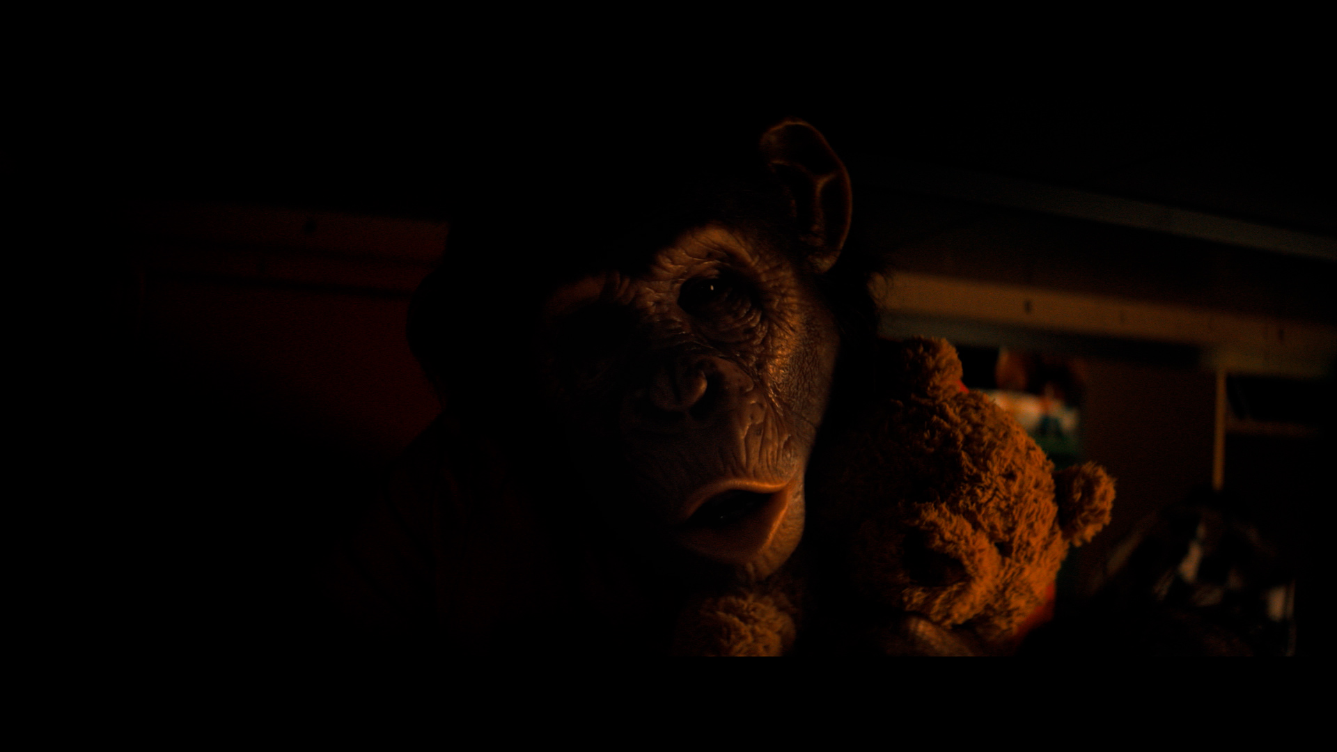 Cute until it isn’t: 'Primate' turns instinct into horror