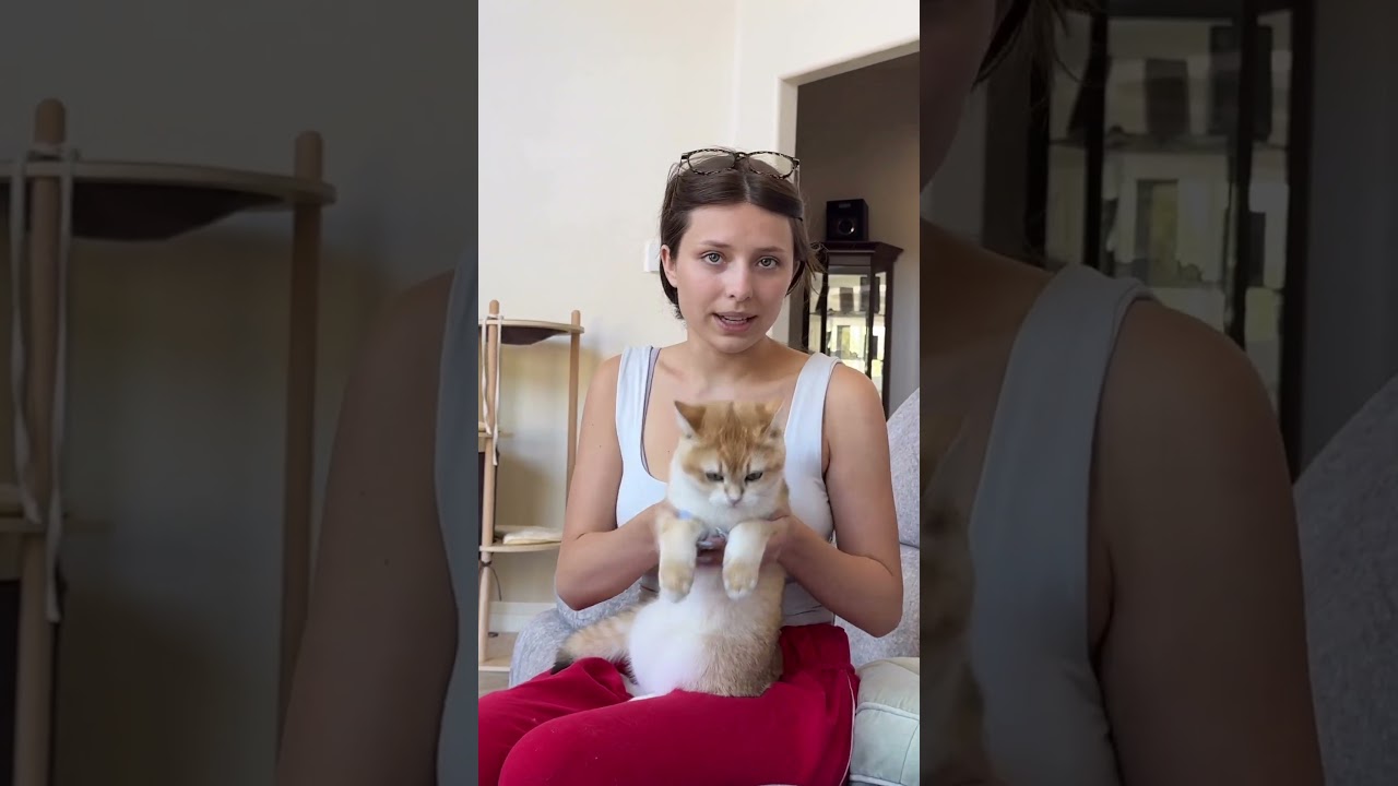 My cat loves to dance