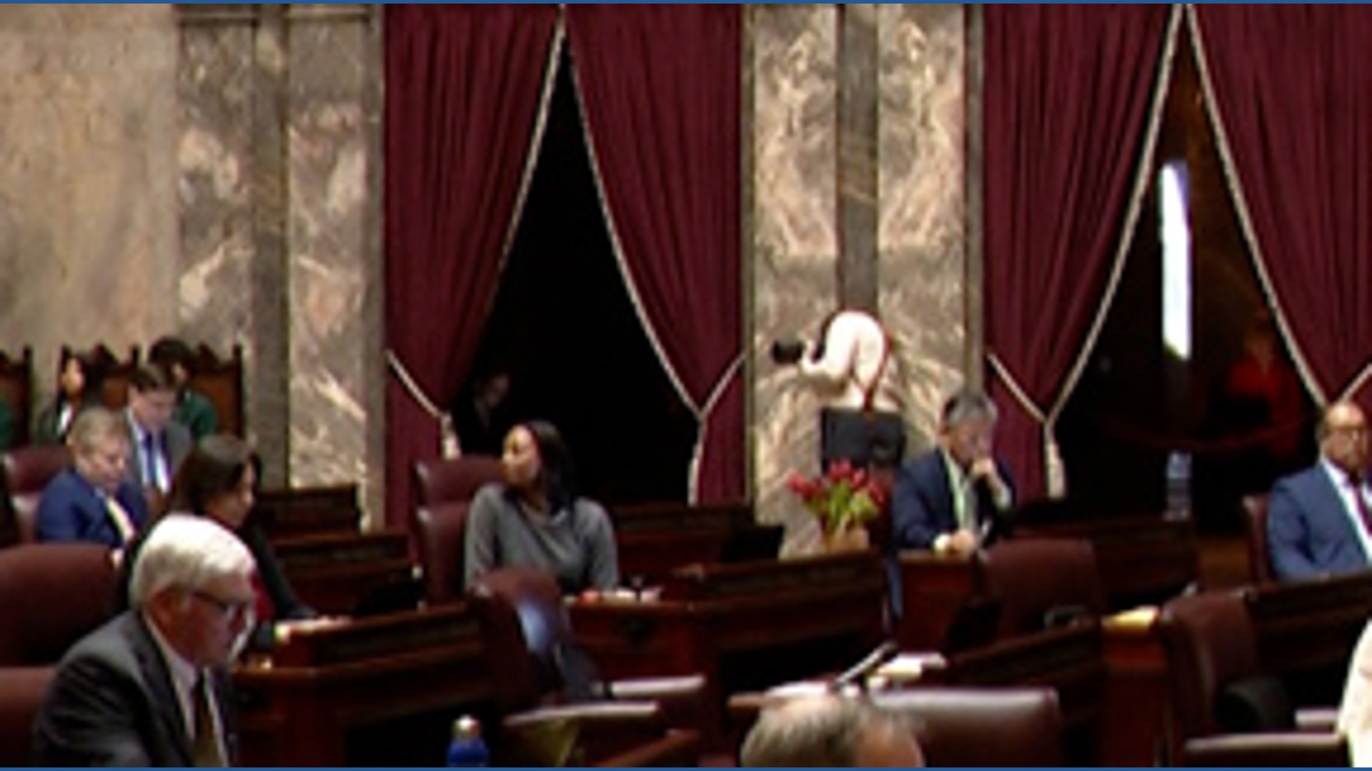 Police face coverings bill vote