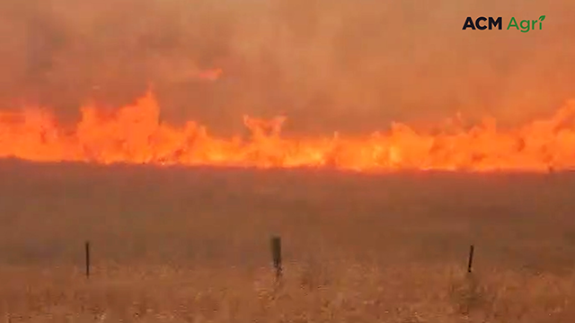 Firefighters prepare to tackle Leslie Manor blaze