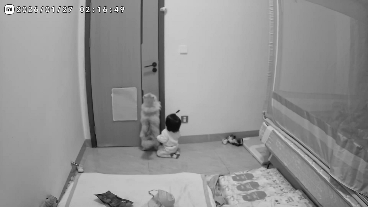 Cat helps baby open door in Guangdong, China