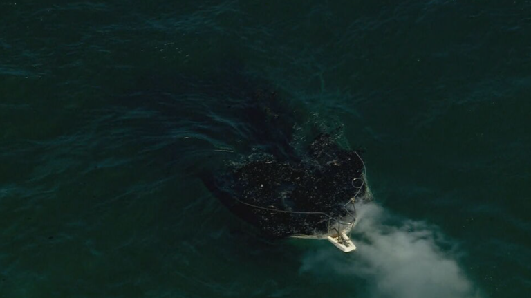 Man escapes injury after major boat fire on Victoria's Port Phillip Bay