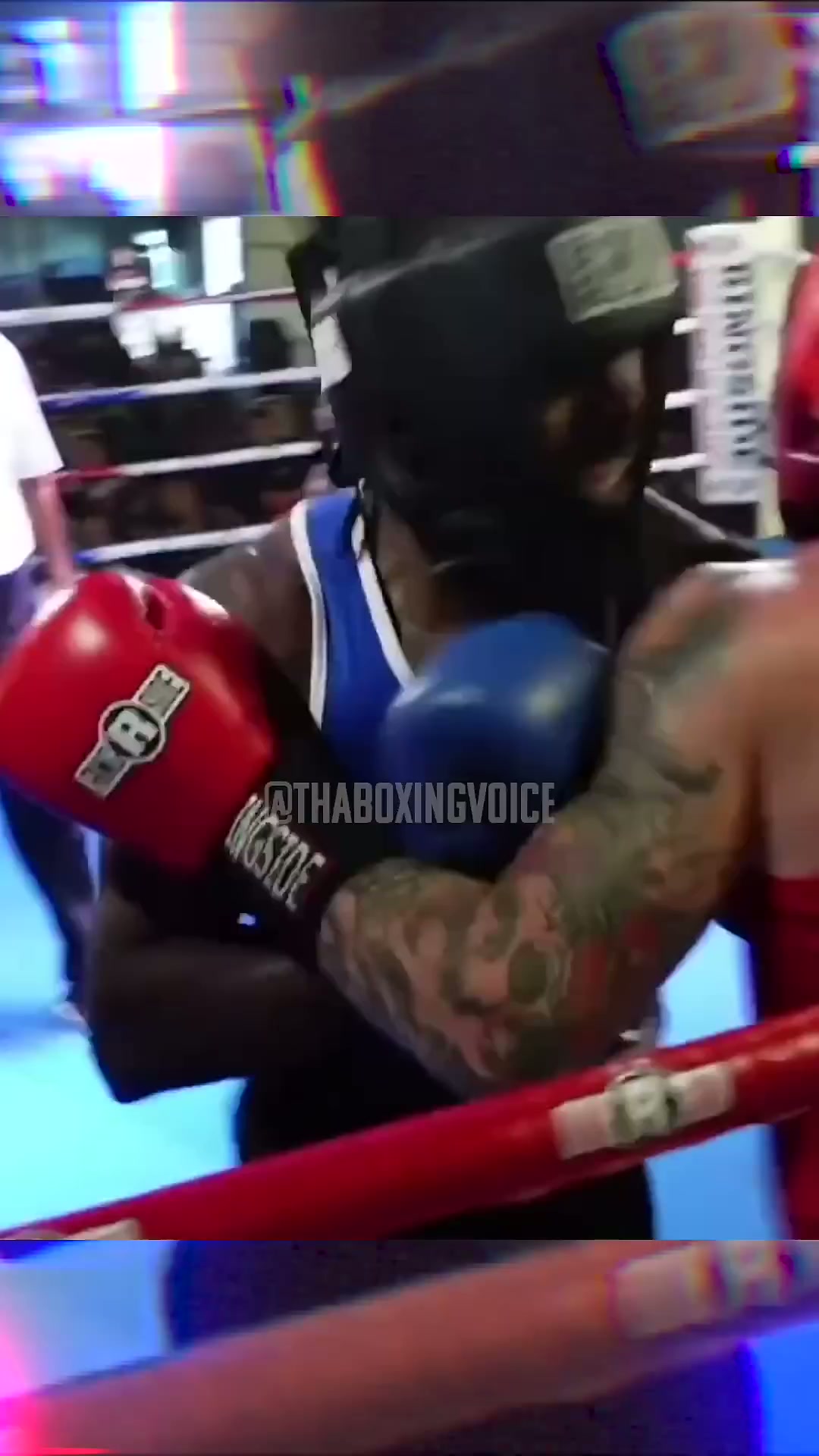 TBV BORDER WARS 14 HIGHLIGHTS LIVE FROM MILWAUKEE, WISCONSIN! Who do ...