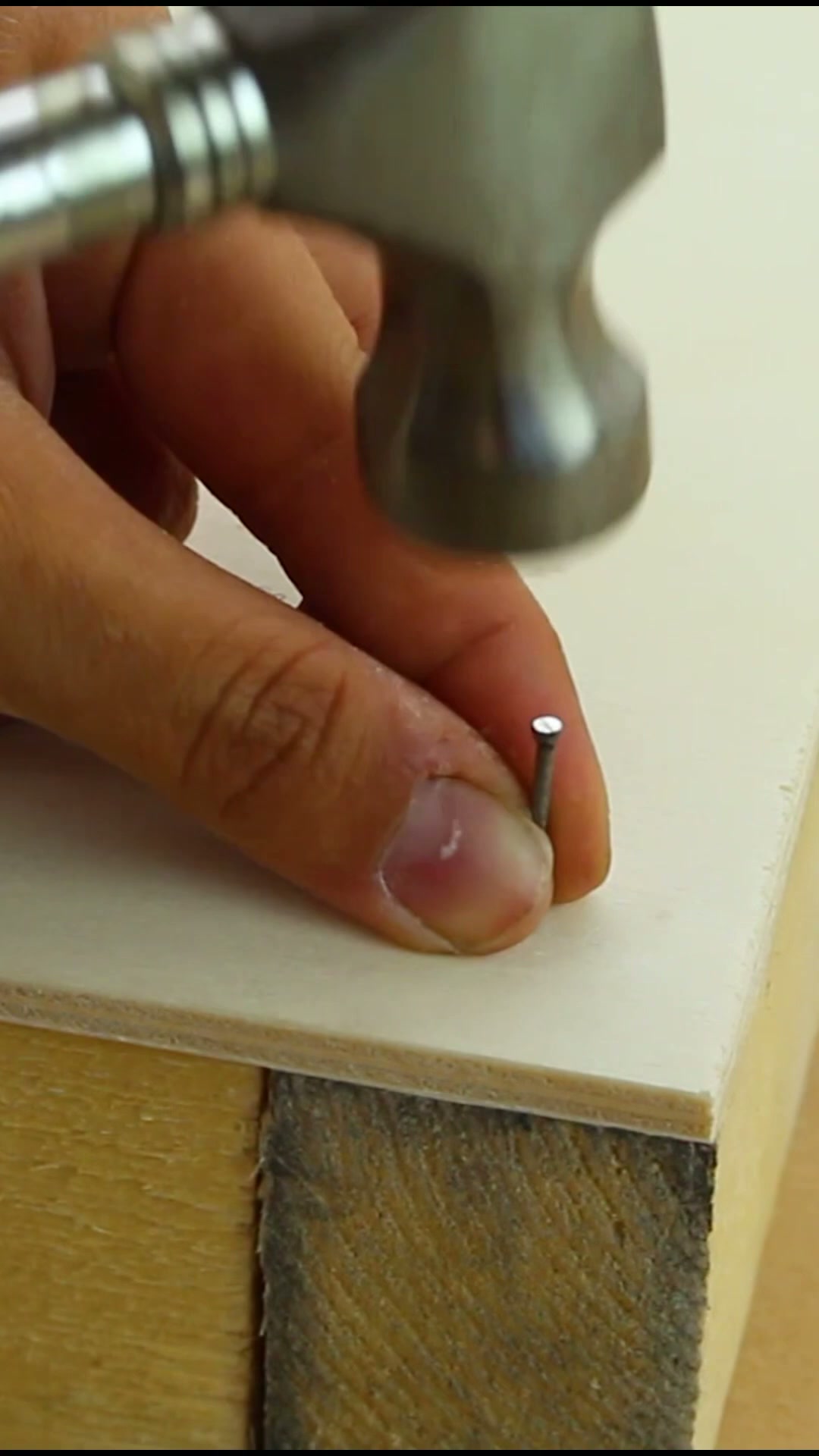 DIY succulent frame planter: Craft a stunning green display! #succulent ...