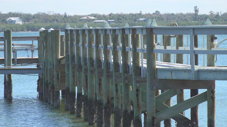Manatee County residents push back on possible cruise port near ...