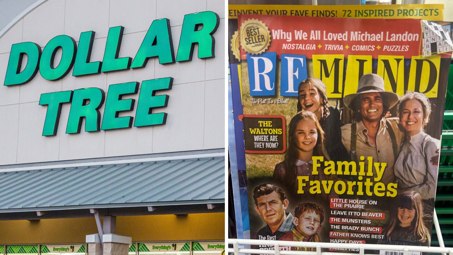 February 2026 Dollar Tree finds - what you should buy