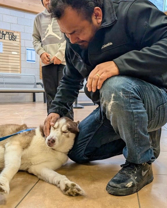 Family cries tears of joy after reuniting with missing dog after 5 ...