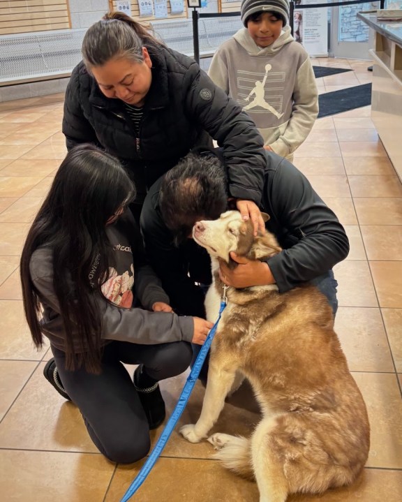 Family cries tears of joy after reuniting with missing dog after 5 ...