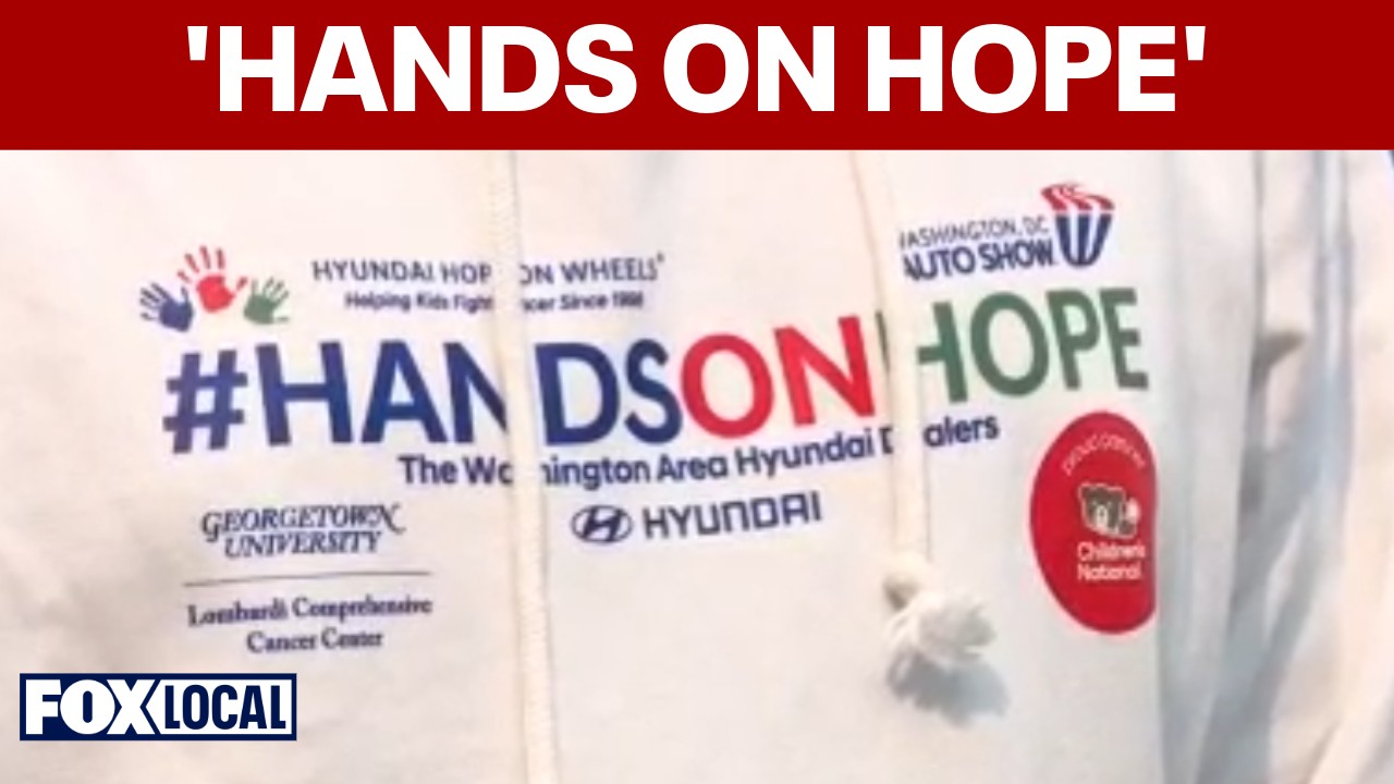 Hyundai 'Hands on Hope' event returns to DC Auto Show