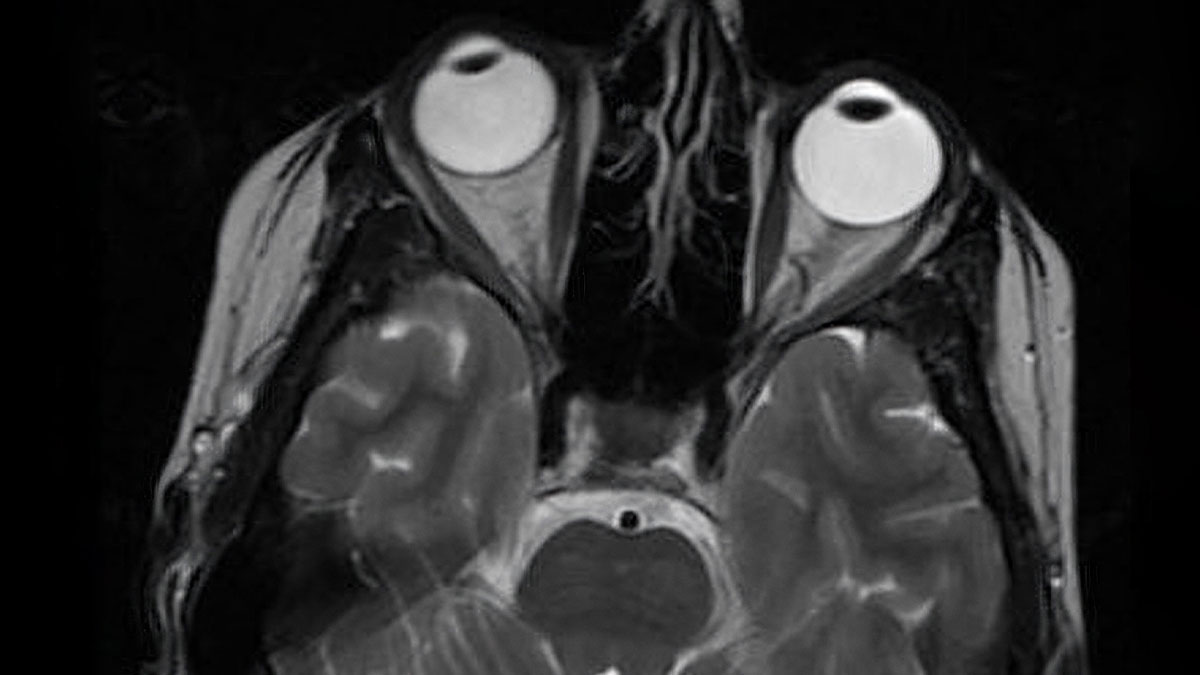 61 weird medical facts that turned out to be true