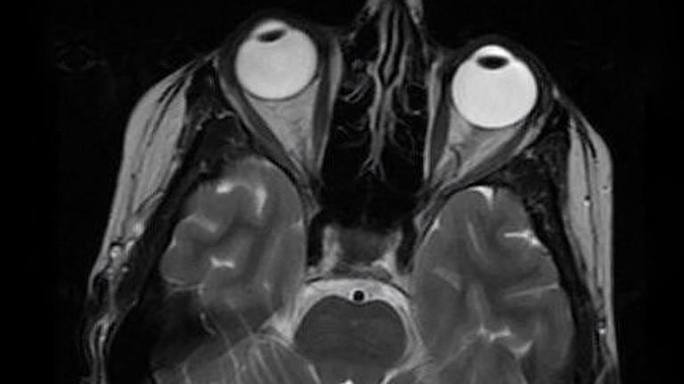 61 weird medical facts that turned out to be true