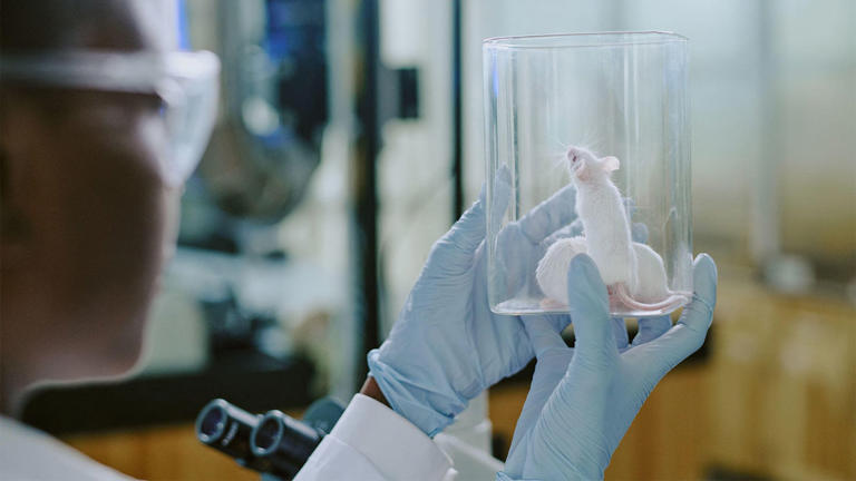 Ending animal research won't make America healthy