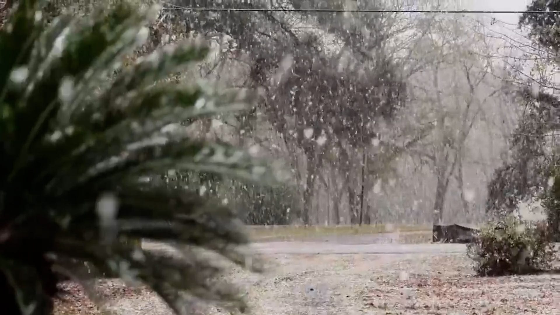 Will it snow again in Florida this weekend? What we know, NWS forecast