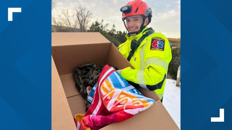 Central Bell Fire & Rescue saves owl during winter storm