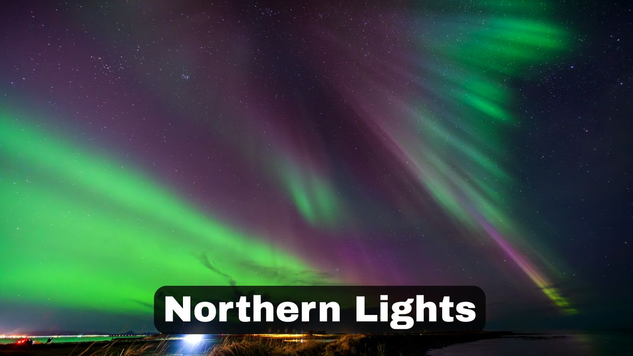 Aurora bands ripple above the ocean shore in Iceland