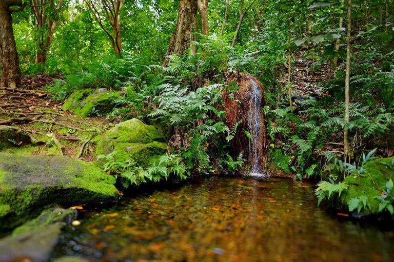 Is March actually a terrible time to visit Kauai? (Spoiler: No, but ...