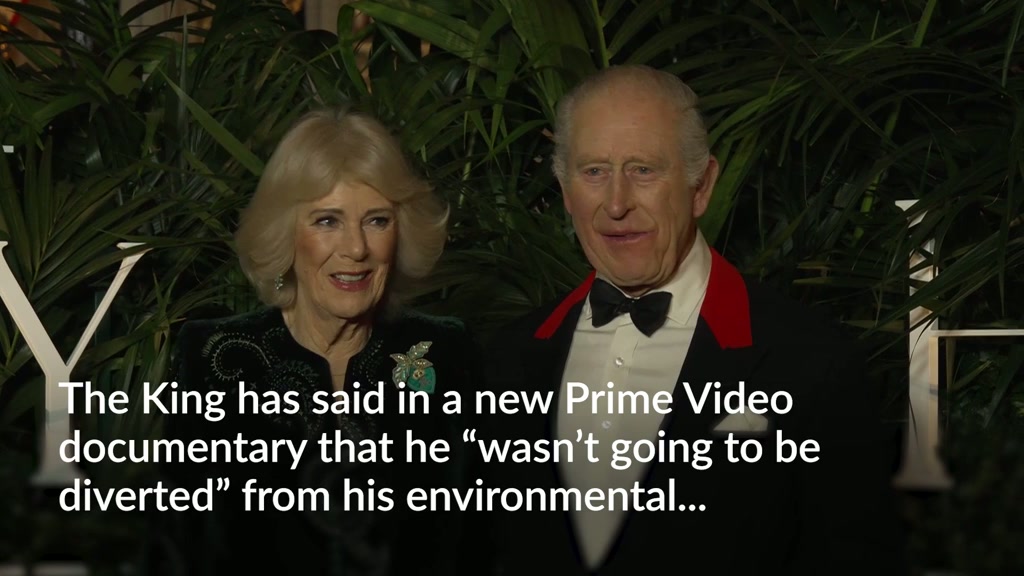 Charles 'wasn't going to be diverted' from green issues, Prime Video ...