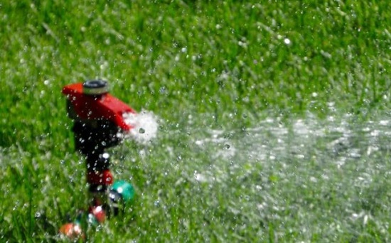 Water restrictions to take effect amid drought conditions, violators ...