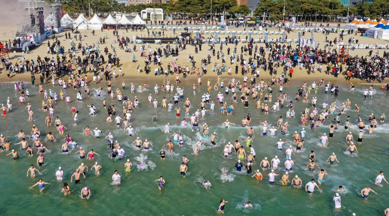 Haeundae Polar Bear Festival: Courage in winter's embrace