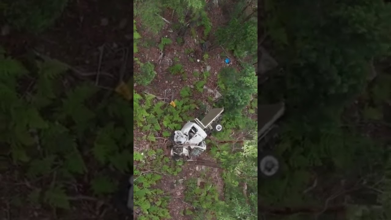 You won’t believe what’s buried in the woods