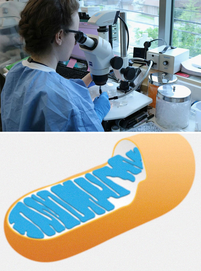 61 weird medical facts that turned out to be true