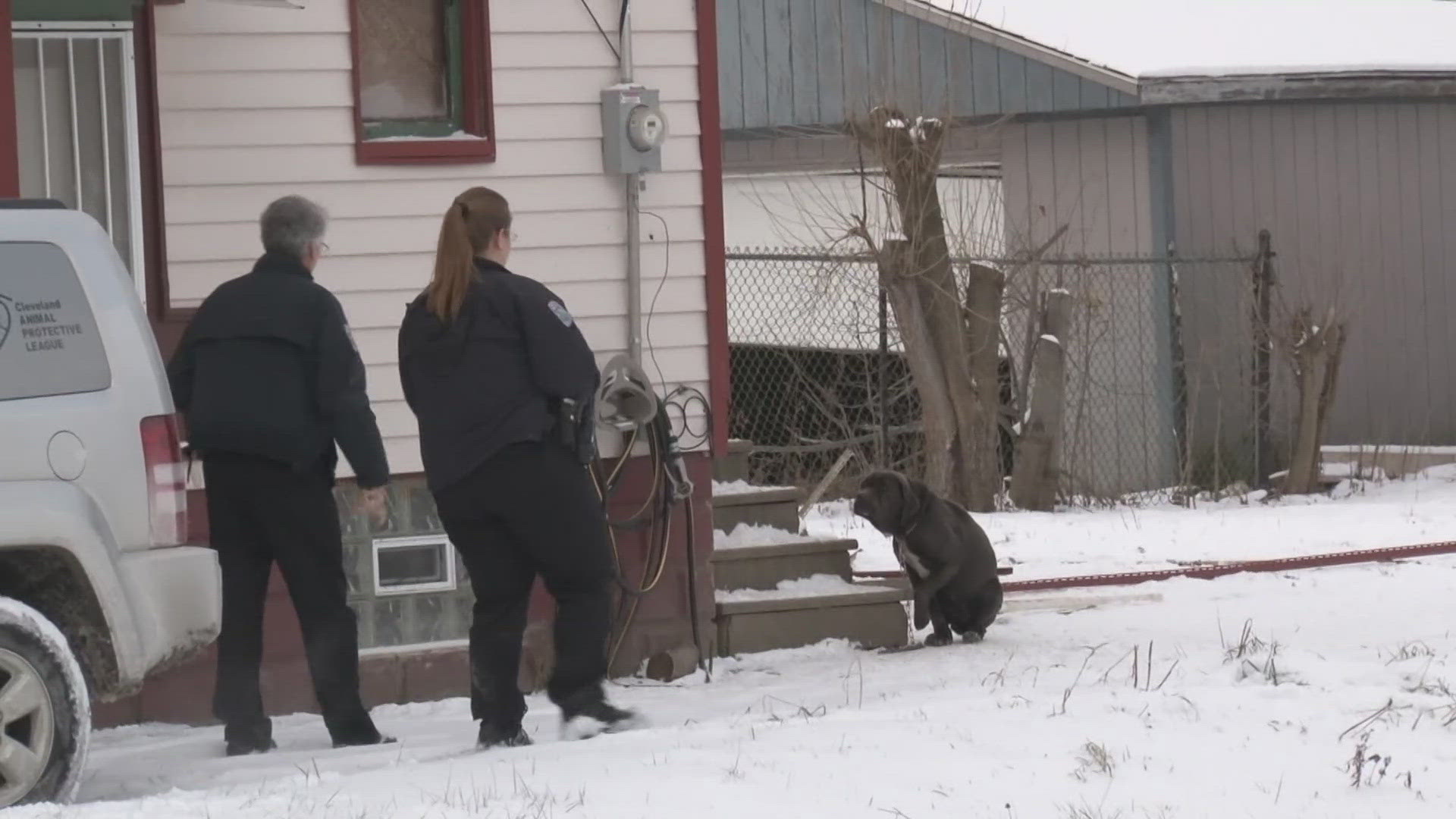 New animal crimes unit targets rising abuse cases in Cuyahoga County