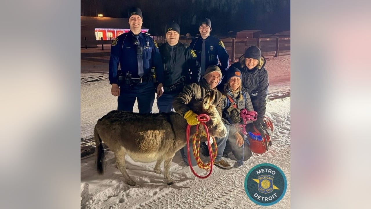 Runaway donkey: State police track down lost farm escapee in Holly