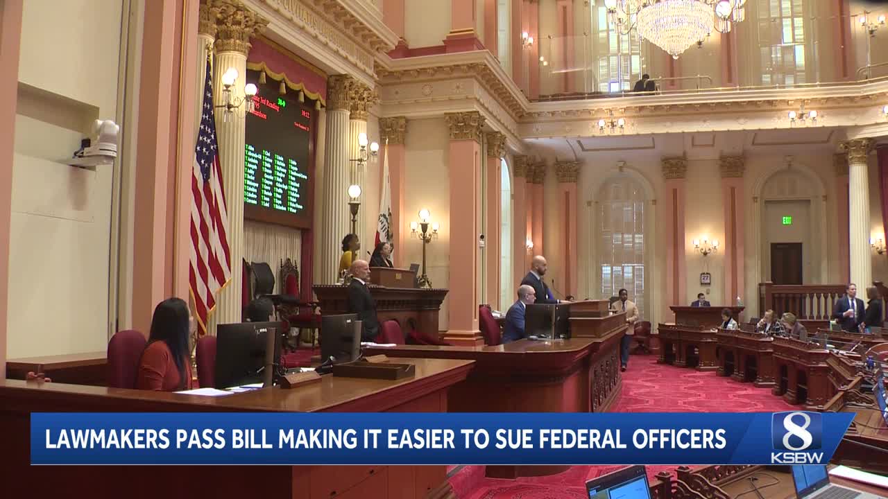 California Senate passes 'No Kings Act' to make it easier to sue ...