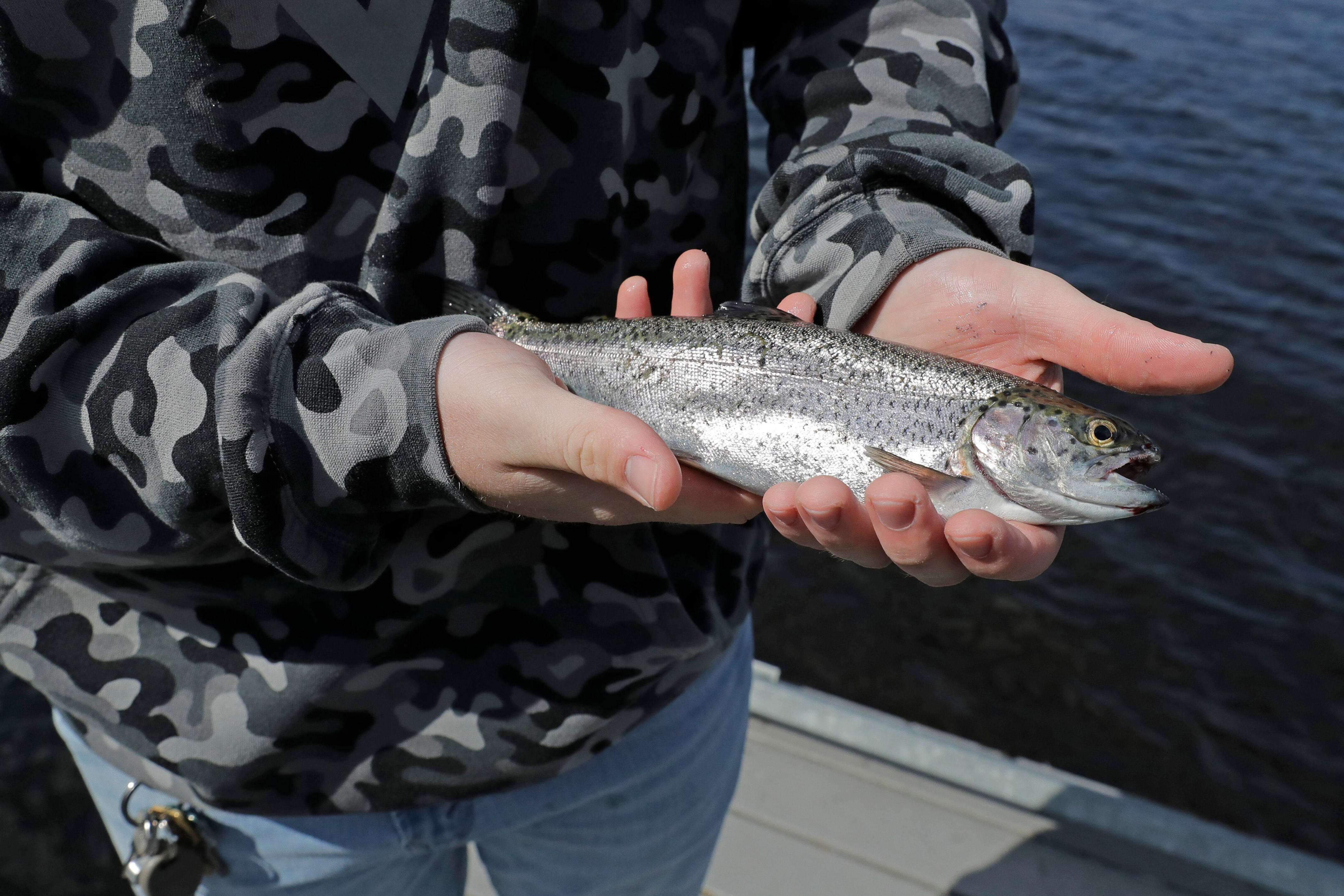 LDWF stocks community parks statewide with fish for the "Get Out & Fish ...