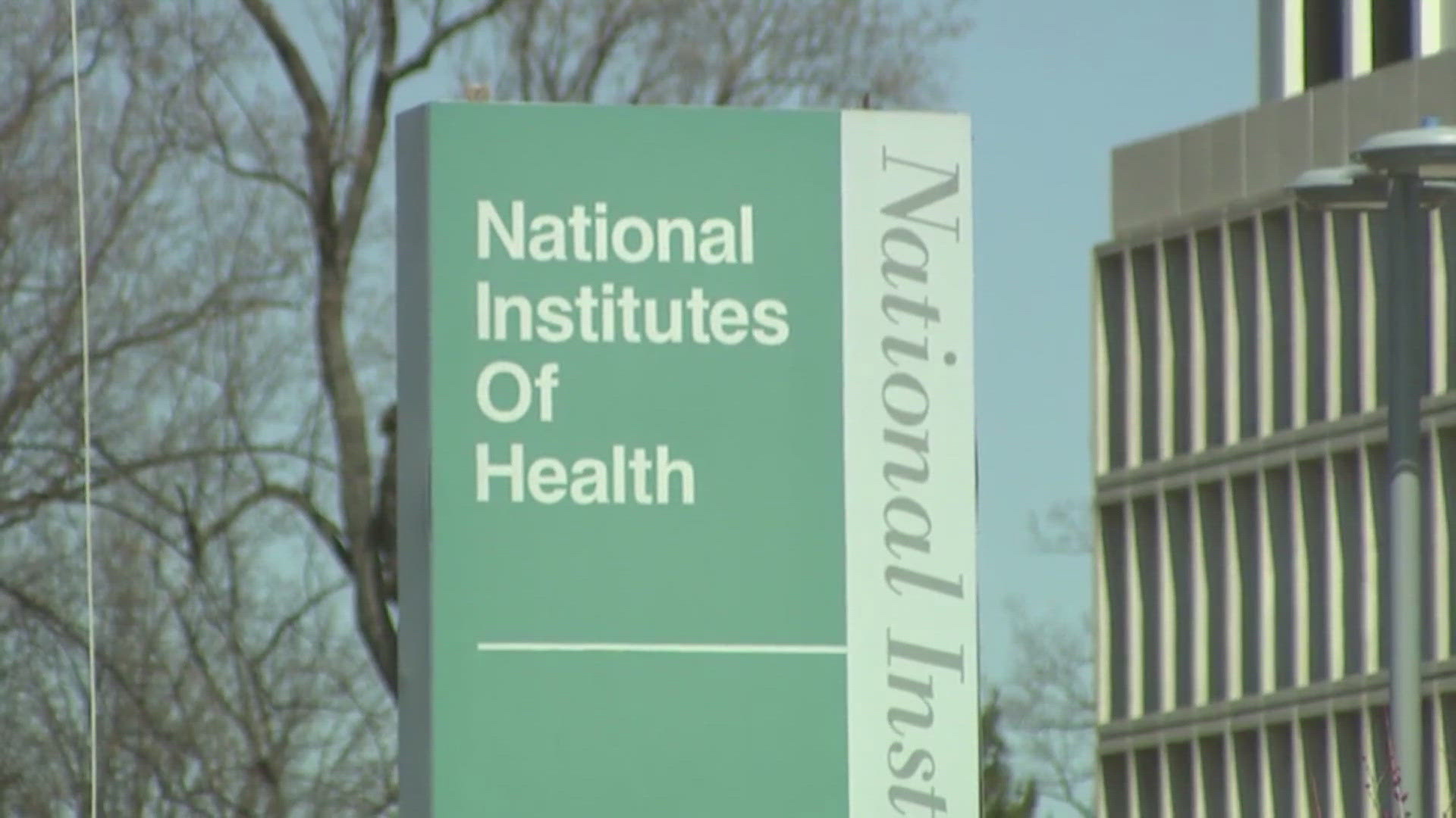 Trump administration stops human fetal tissue in NIH-funded research