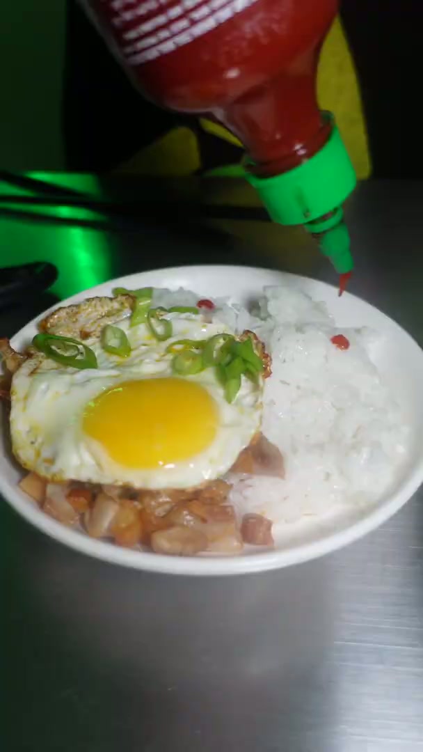 Fried egg and rice from The Legend of Zelda: Breath of the Wild