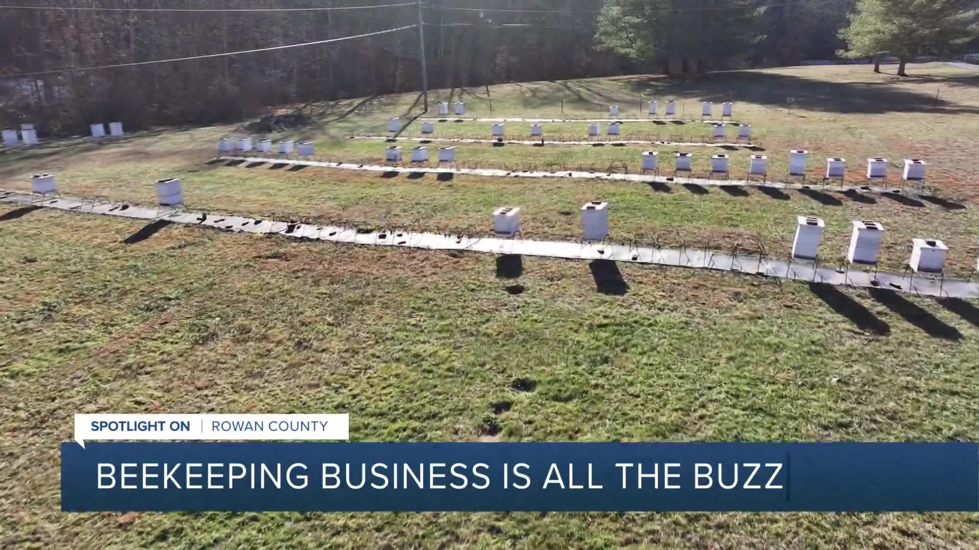 Beekeeping business is all the buzz