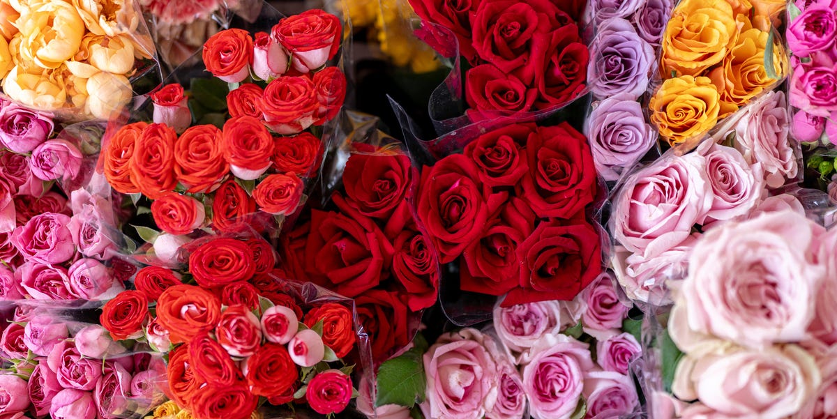 Picking a Valentine's bouquet? Here's what each rose color really means