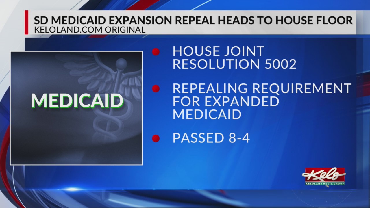 House passes bill to regulate lab-grown meat