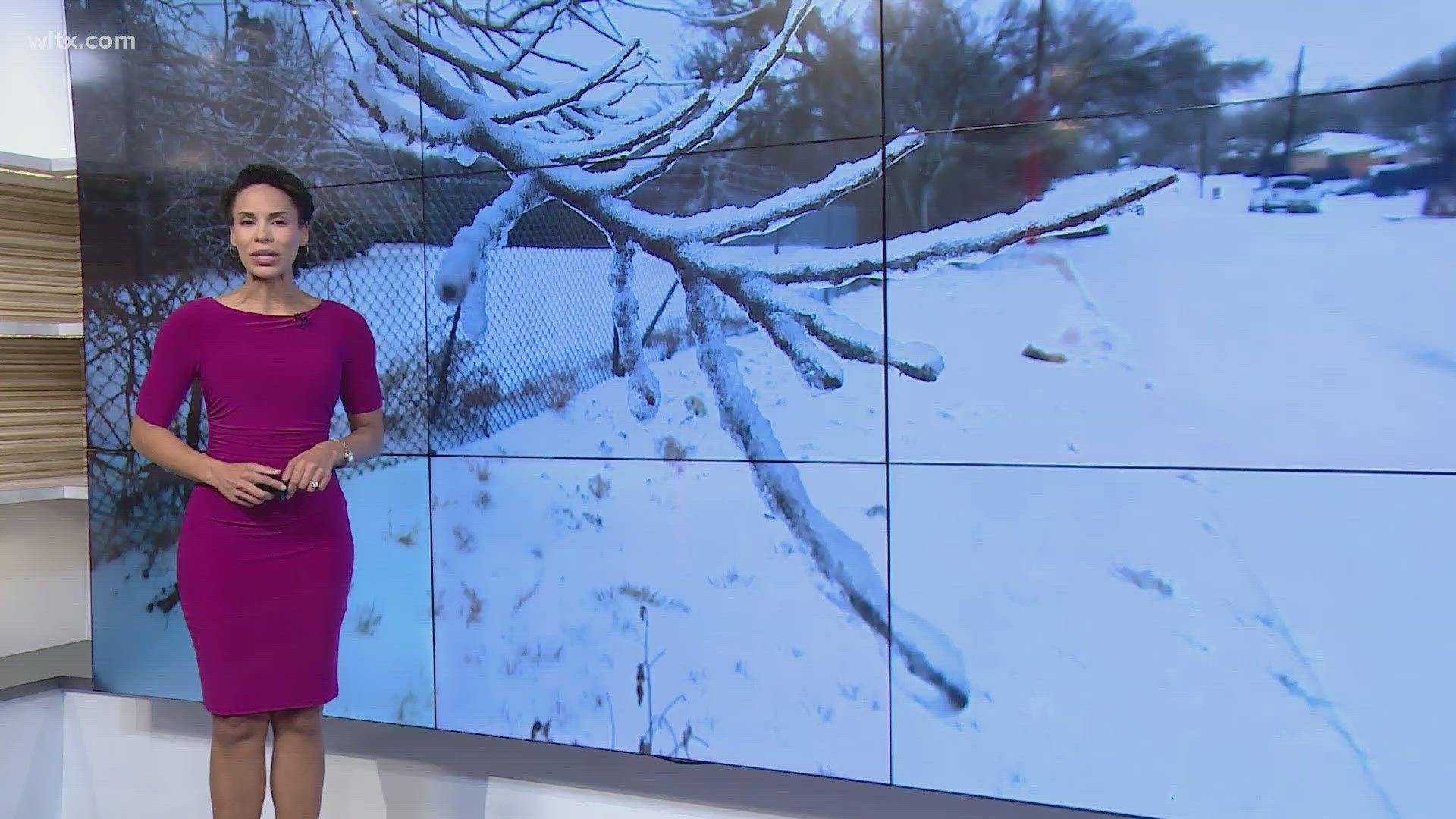 Second winter storm-related death confirmed in South Carolina