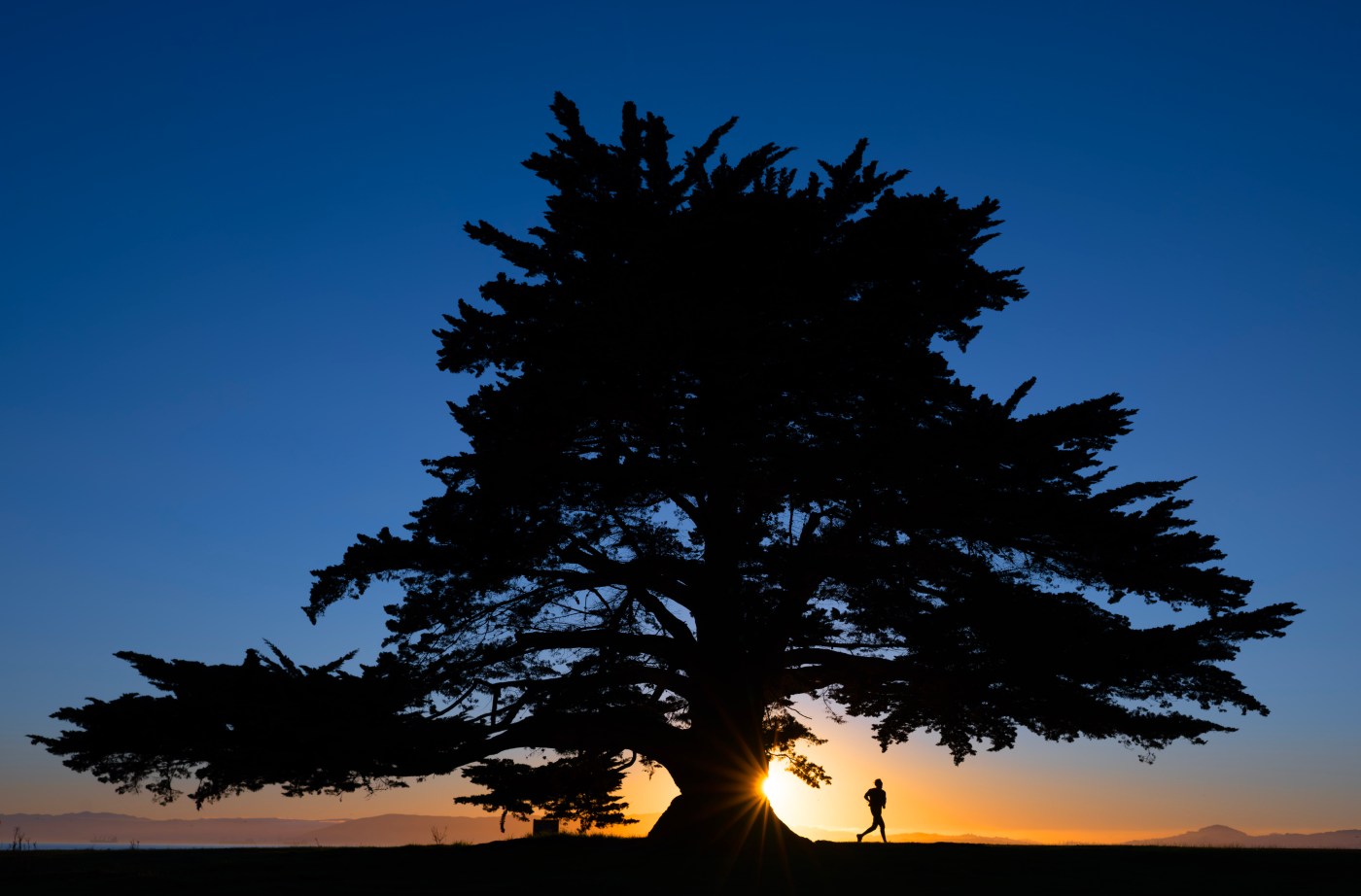 After one-day blip, Bay Area’s dry winter weather to return