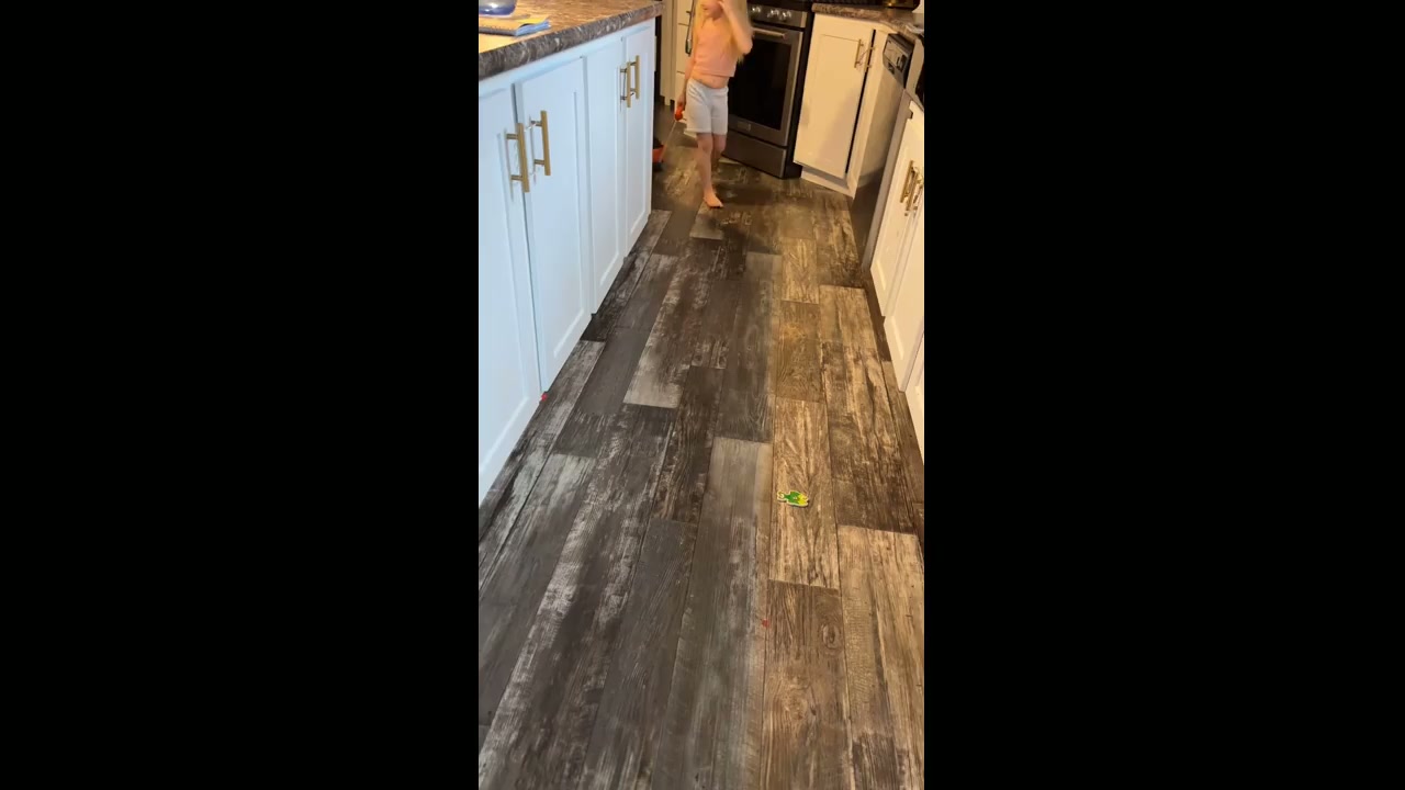 Cat calmly rides toy cart as kids circle the kitchen in in Troutville ...
