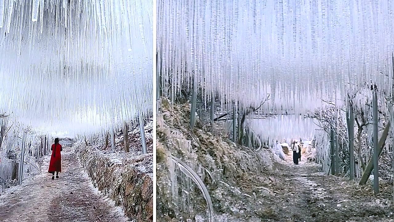 Winter storm turns mountain into frozen curtain of crystal icicles