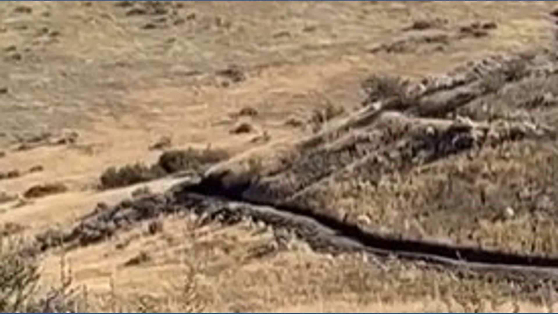 Boise City Council approves policy to protect foothills