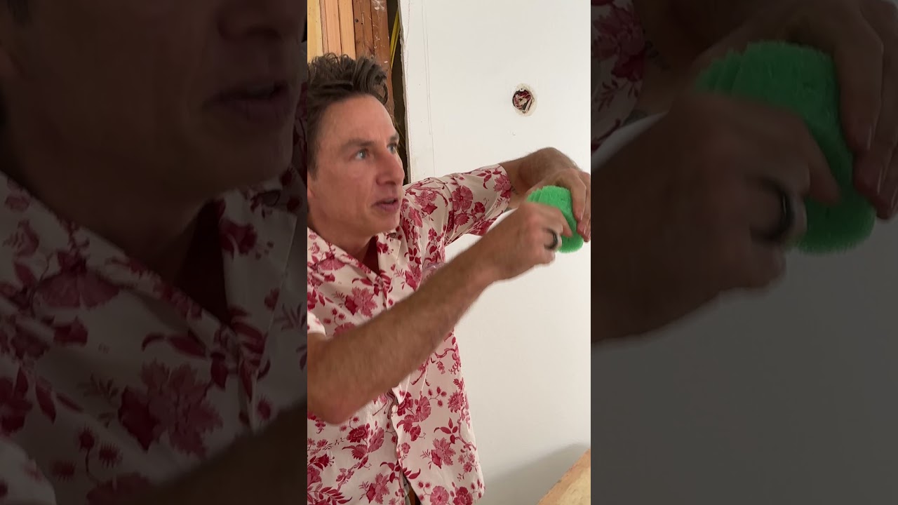 Meeting Zach Braff delights the Property Brothers