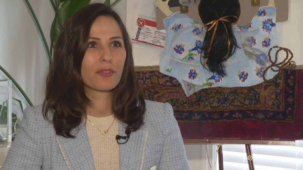 Iranian artist in Chicago Lemna Parvini honors her heritage, Muslim ...